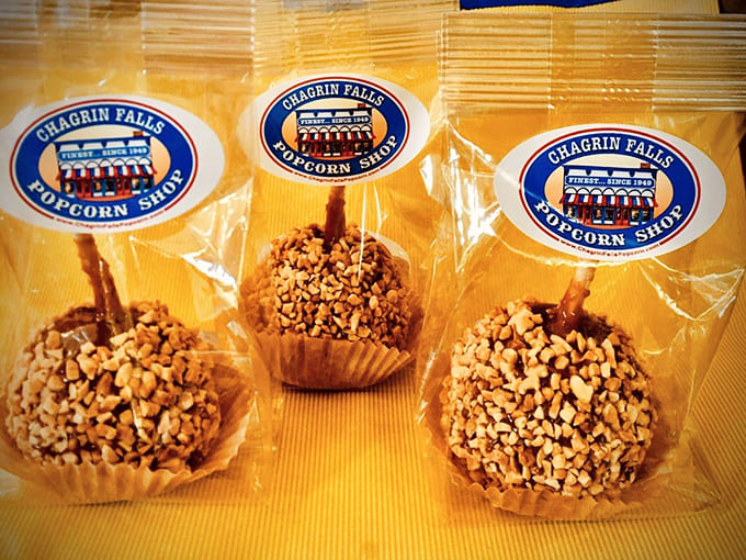 Caramel apples so perfectly coated they look like they belong in a museum, not your mouth (but eat them anyway).