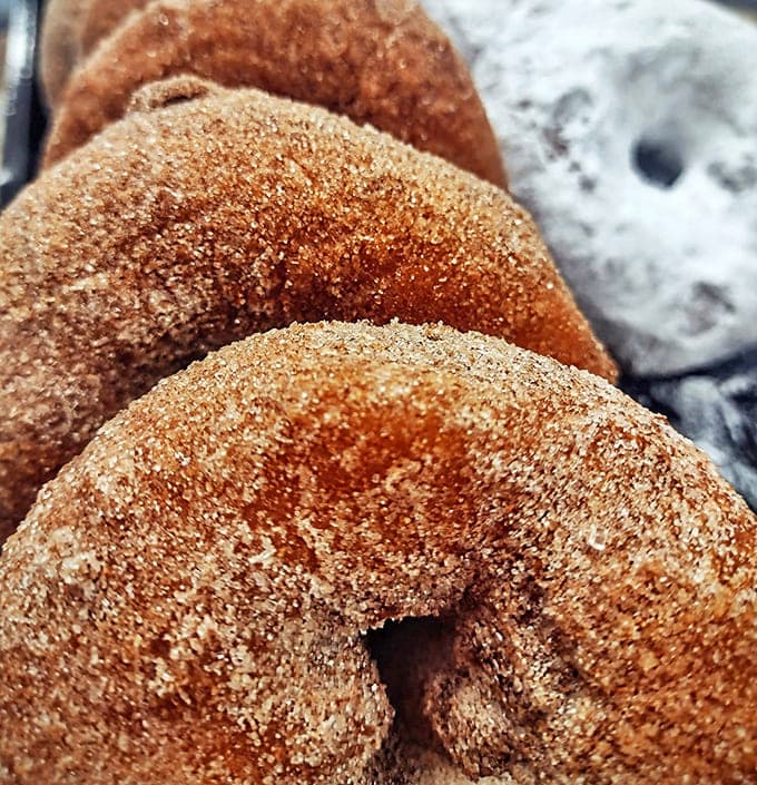 Cinnamon sugar donuts that taste like autumn mornings and childhood memories, with that perfect crunch-to-softness ratio.