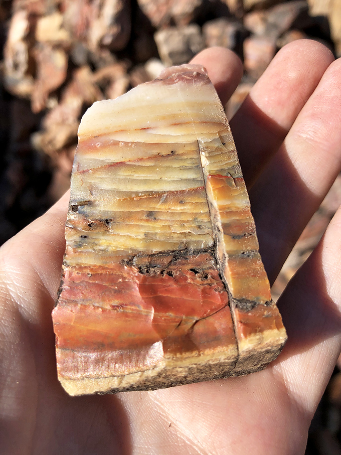 Layer upon layer of mineral magic &ndash; this stone slab tells Earth's story in bands of color more vivid than any history book.