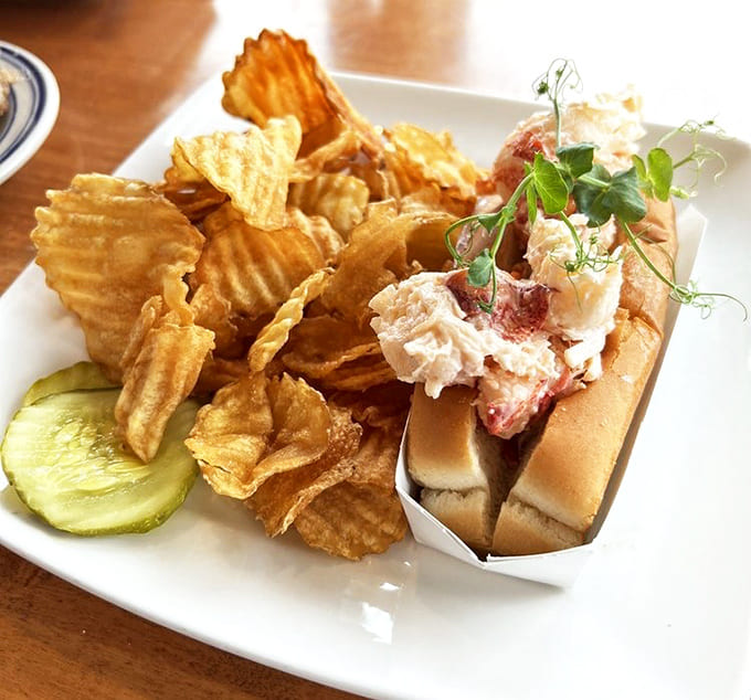 That golden-toasted bun cradling impossibly fresh lobster meat alongside crispy chips is basically the definition of coastal Maine perfection.