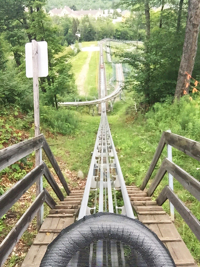 Looking down the track reveals what lies ahead: a gravity-powered journey through one of Vermont's most beautiful forest landscapes.