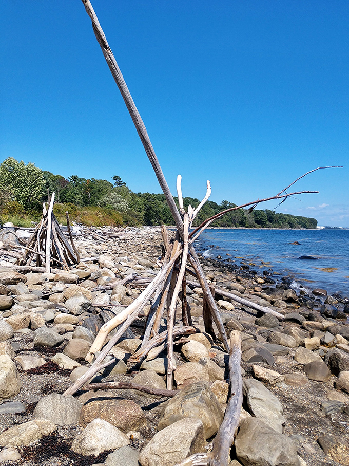 Beach artists have created whimsical driftwood structures along the shore &ndash; temporary sculptures that might disappear with the next big storm.