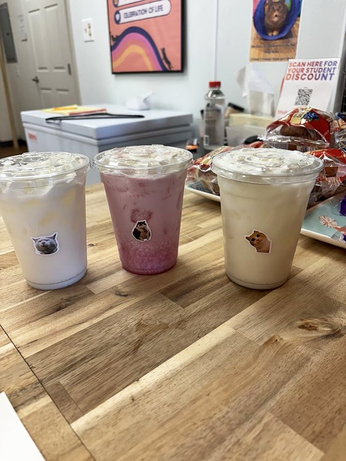 These Instagram-worthy drinks come with adorable cat stickers &ndash; because everything tastes better with a side of whiskers and cute ears.