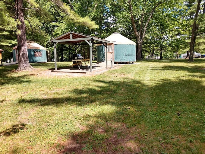 Glamping setups that let you experience nature without sacrificing the comforts that make you a functional human being the next morning.