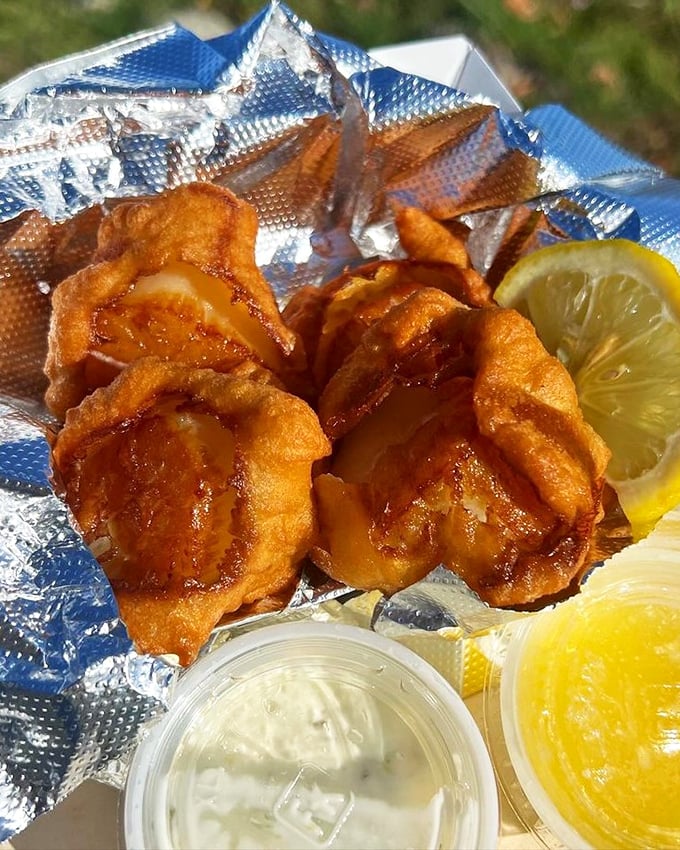 Golden-fried scallops that snap with freshness, served with a side of sunshine-yellow butter. The perfect Maine appetizer before the main event.
