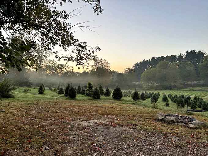 Heritage Farms Morning mist blankets this picturesque farm where seasonal events celebrate Ohio's agricultural heritage.