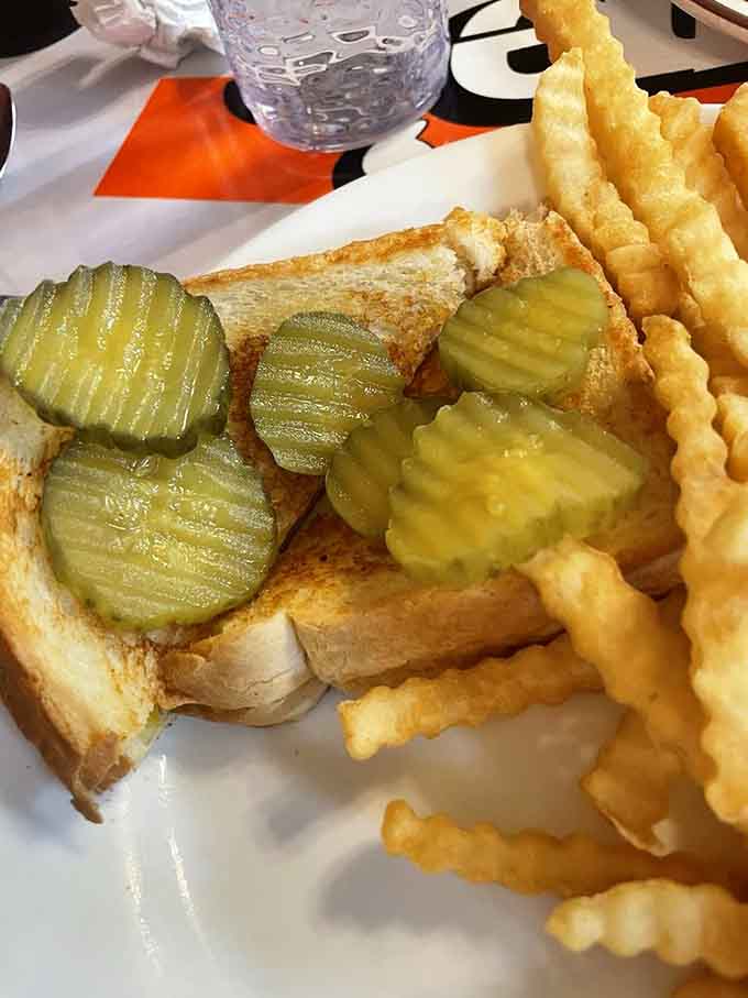 That golden grilled cheese paired with crinkle-cut fries is basically a hug from your childhood, only better because you can eat it.