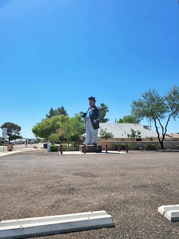 Hobo Joe: Where "down on your luck" meets "top of the world." This gentle giant's got a view of Buckeye that would make eagles jealous!