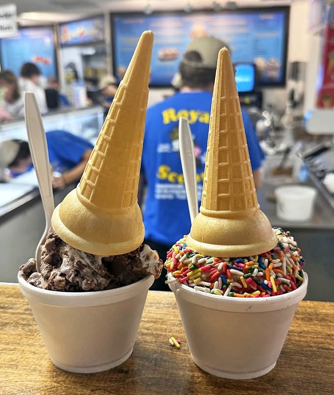 Two perfect scoops standing at attention in their cups &ndash; one chocolate decadence, one sprinkle-covered joy, both demanding immediate attention.