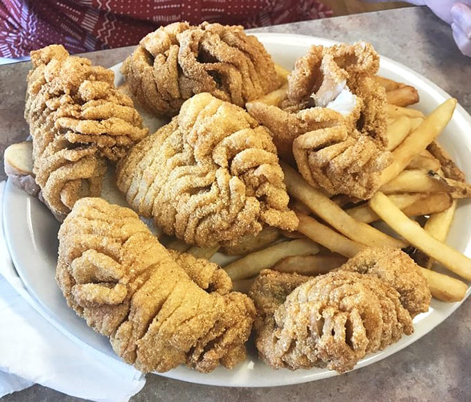 The full plate treatment pairs those legendary fritters with crispy fries, because sometimes more really is more in life.