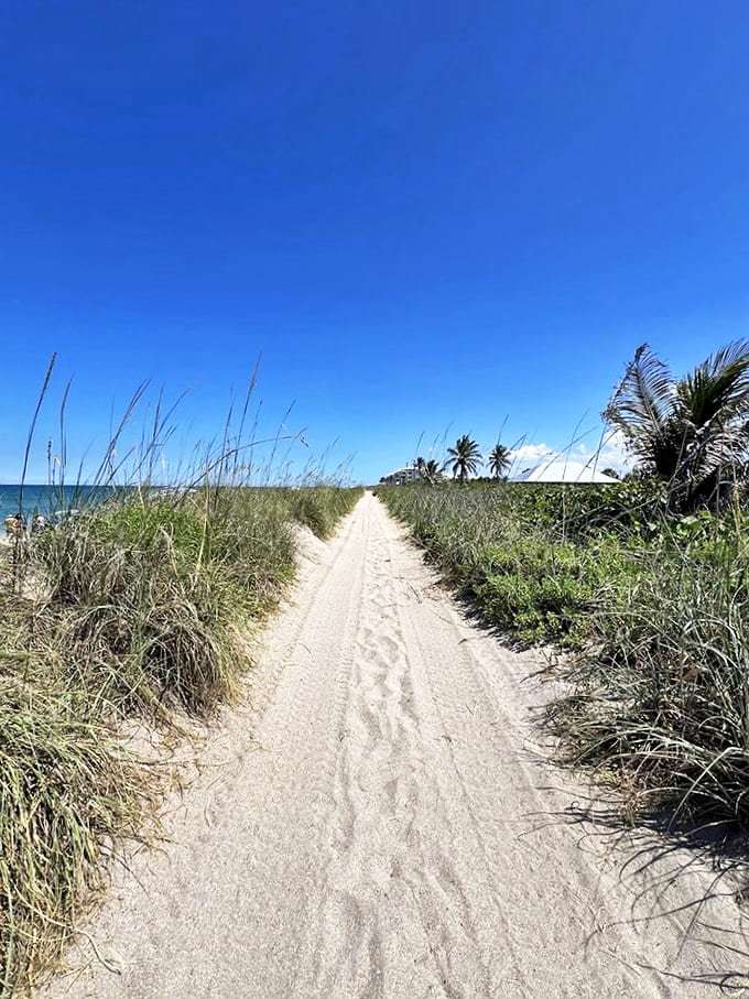 Sandy trails flanked by sea oats lead to azure waters &ndash; nature's version of the yellow brick road, but with a much better destination.