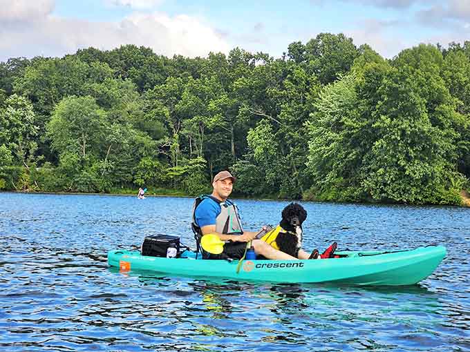 Even the dogs get in on the kayaking action, proving that man's best friend is also river's best friend when adventure calls.