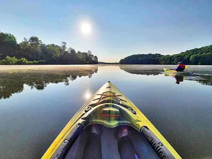 Adventure awaits from a kayak's-eye view, where every paddle stroke reveals new perspectives of Lake Logan's pristine shoreline.