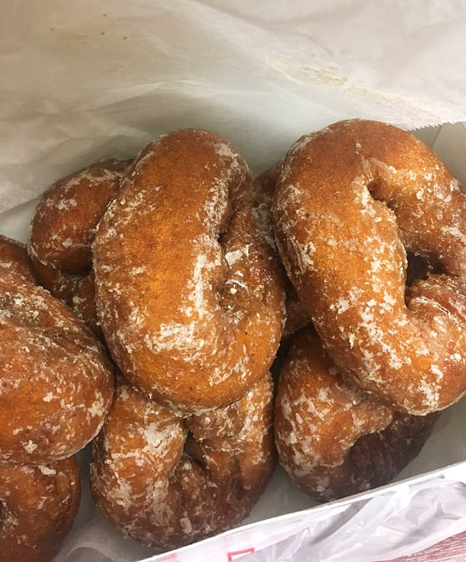 Those golden pumpkin donuts dusted with cinnamon sugar are basically autumn in fried dough form, and yes, they taste even better than they look.