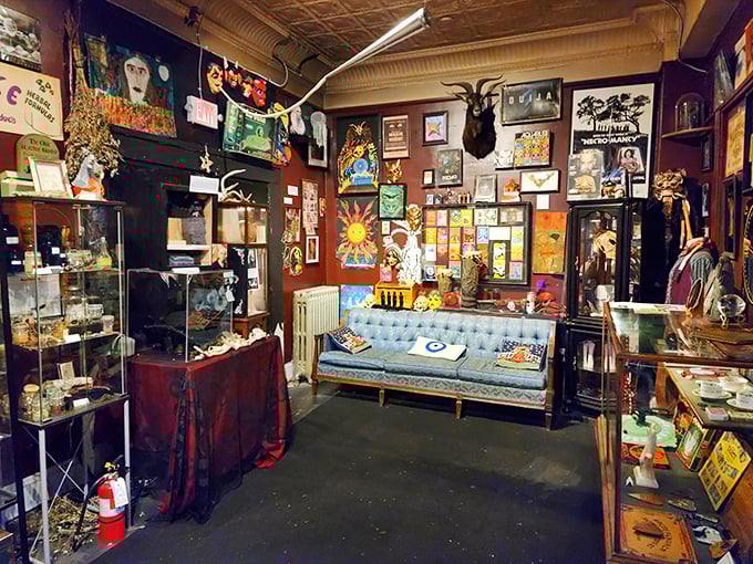 Every inch of wall space tells a story, with the vintage blue sofa offering a moment to sit and absorb the controlled chaos of magical memorabilia.