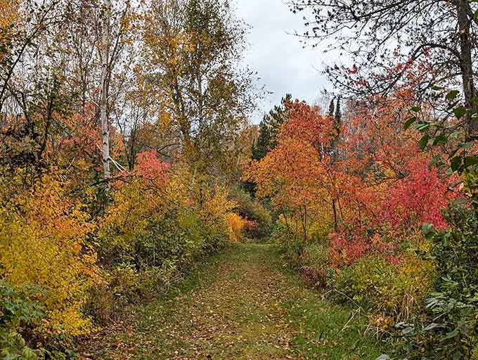 Autumn's paint palette explodes along the trail, making every walk feel like strolling through a living masterpiece.