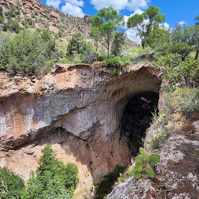Water's patient artistry revealed in profile, the bridge's graceful curve suggesting that even stone can flow when given enough time.