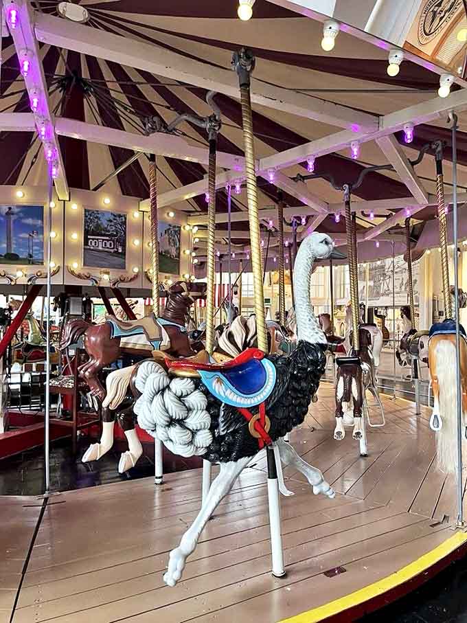 This ostrich might not be able to fly, but riding it certainly sends imaginations soaring through the carnival skies of yesteryear.