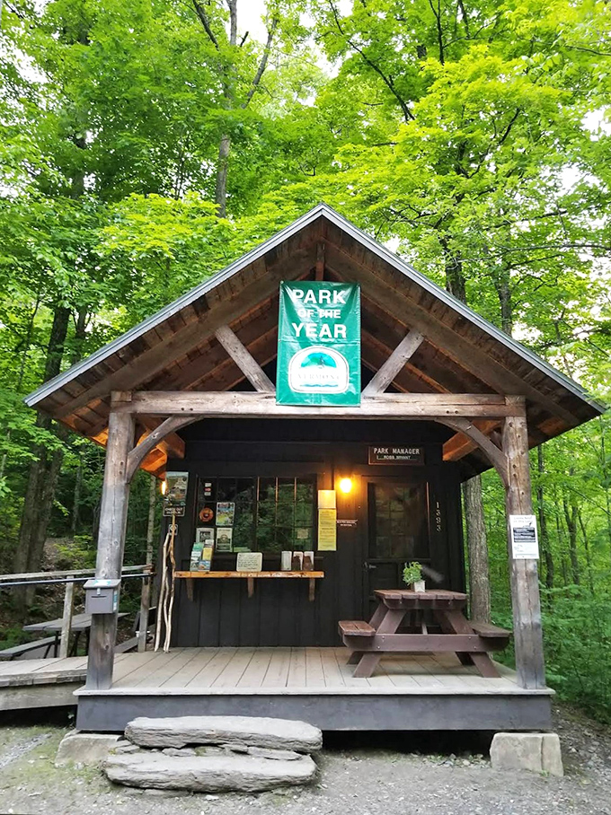 This rustic park booth, nestled among verdant maples, serves as the gateway to wilderness experiences that feel increasingly rare in our modern world.