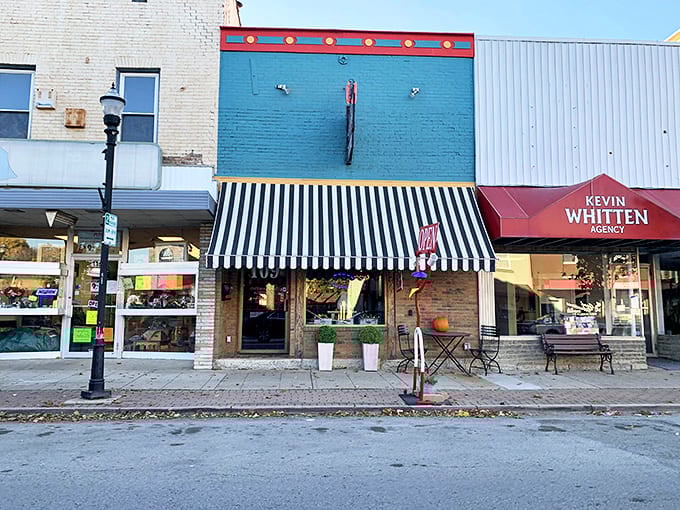 Penny Lane Art Gallery & Cafe creates the perfect marriage of culture and caffeine, where local art finds its audience.