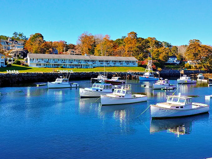 Perkins Cove's working harbor &ndash; where fishing boats bob gently in waters so clear you can practically count the lobsters below.