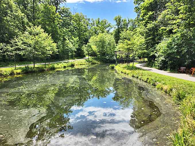 Mirror-like waters double the beauty of Paw Paw Park's lush greenery, creating a moment of zen amid Ohio's rolling landscape.