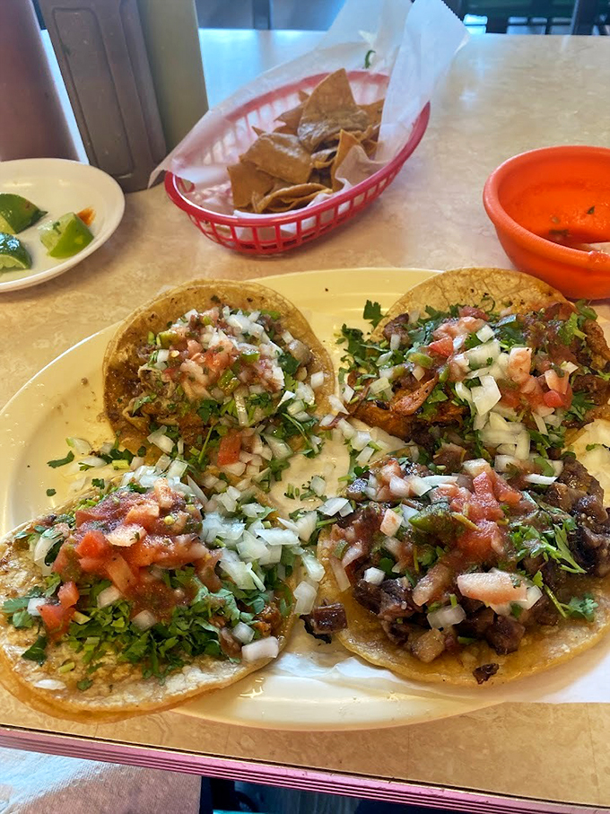 Quesadilla perfection on a plate. Golden-brown tortillas, melty cheese, and a rainbow of toppings. It's a fiesta for your eyes and your taste buds!