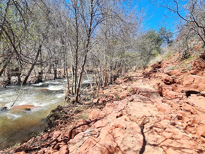 Oak Creek carves its patient path through red sandstone, creating a lush ribbon of life in the Arizona desert.