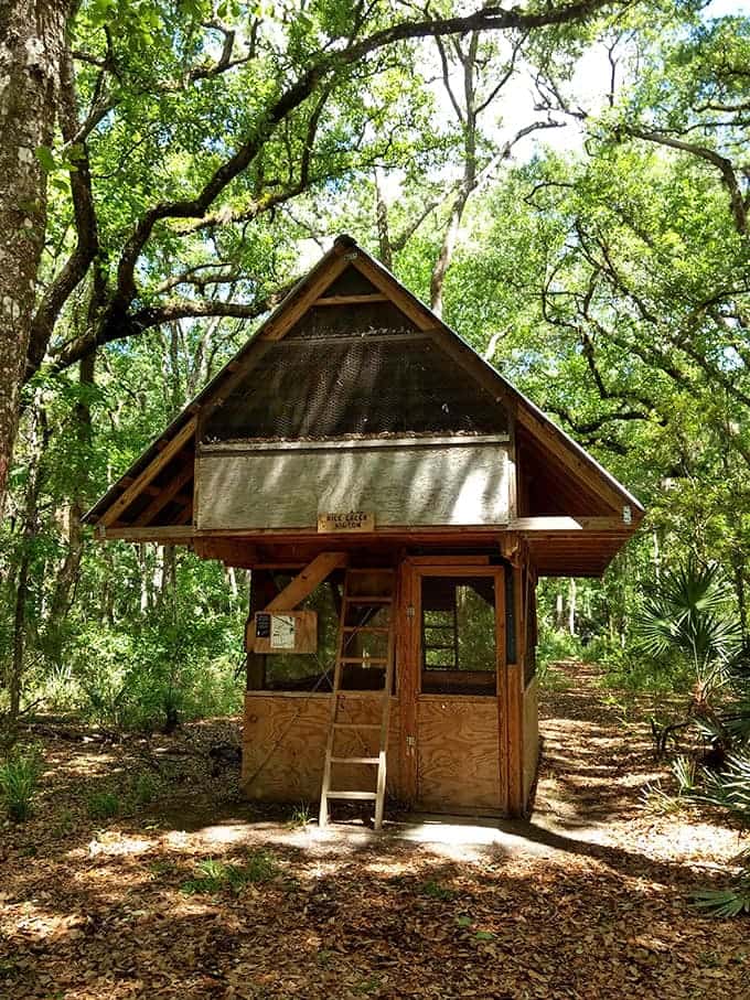 Trail shelters offer shade and respite, simple structures that fit perfectly into the landscape without trying to compete with nature's architecture.