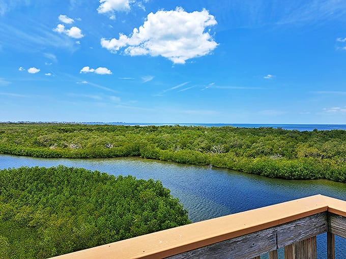 From this wooden perch, visitors can spot everything from diving ospreys to the occasional manatee &ndash; nature's version of live entertainment.