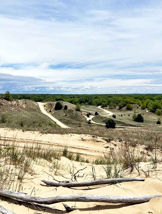 Those sweeping dune vistas stretch for miles, proving that Michigan's "beach" experience rivals anything the coasts can offer, just with better freshwater and fewer sharks.
