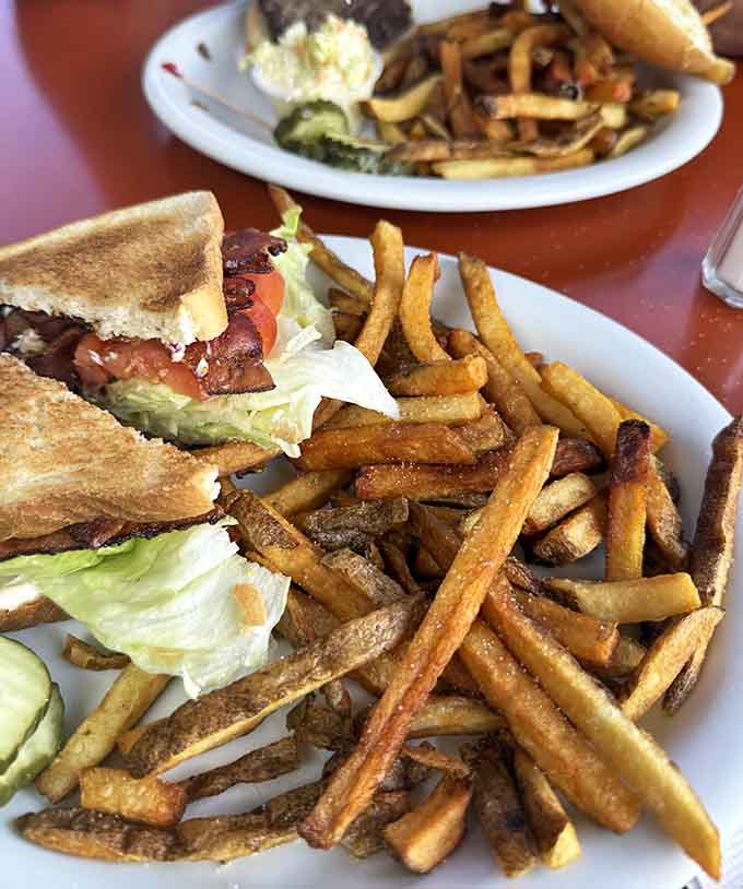 This BLT situation with a mountain of fries is what diner dreams are made of: simple, satisfying, and seriously delicious.