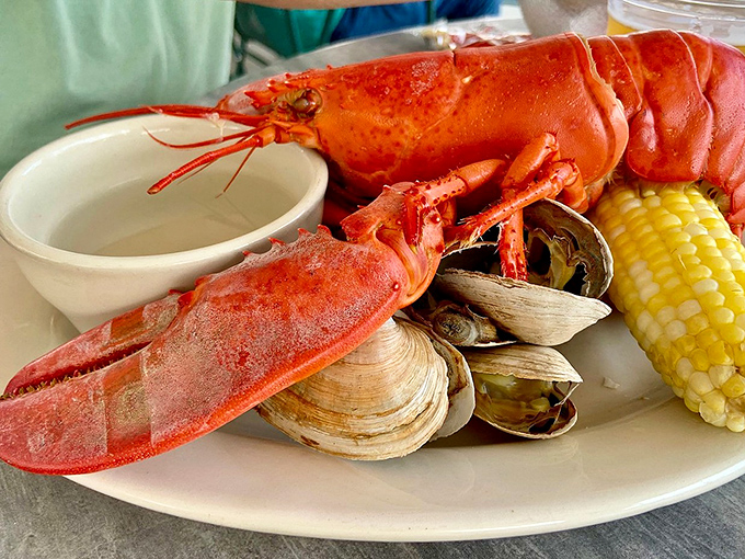 A whole Maine lobster, gloriously red and ready for cracking, surrounded by steamers and corn &ndash; the ultimate coastal trifecta of deliciousness.
