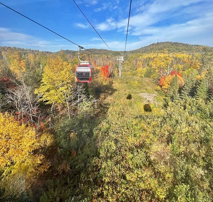 Suspended between earth and sky, the gondola offers views that make you understand why people write poetry about autumn in Minnesota.