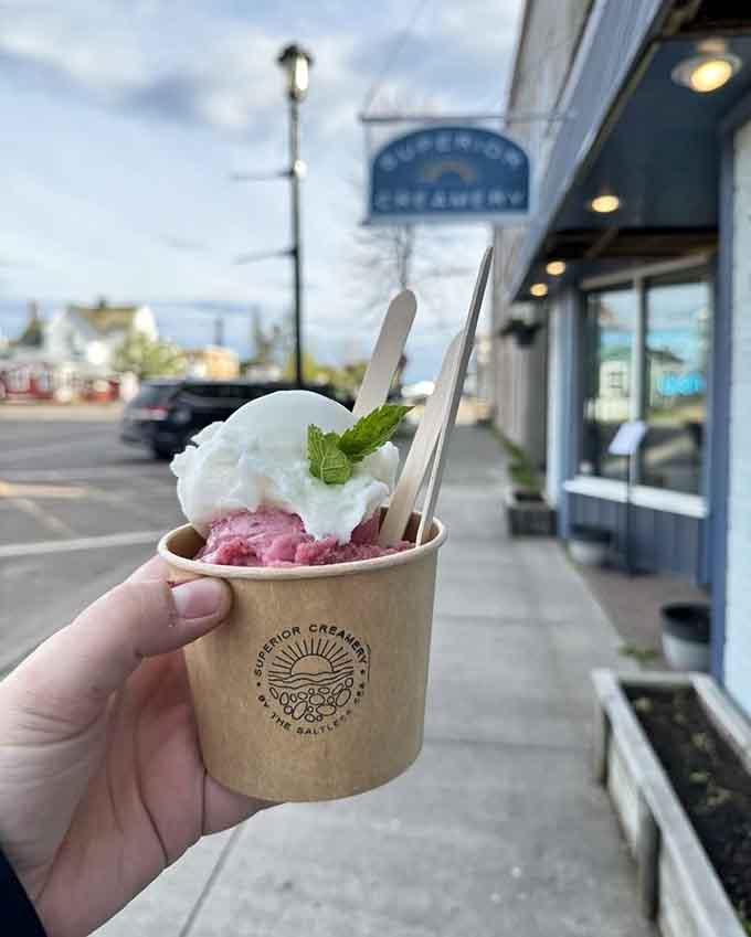 Lemon sorbet topped with whipped cream and a sprig of mint, because even perfection can be improved with a little garnish.