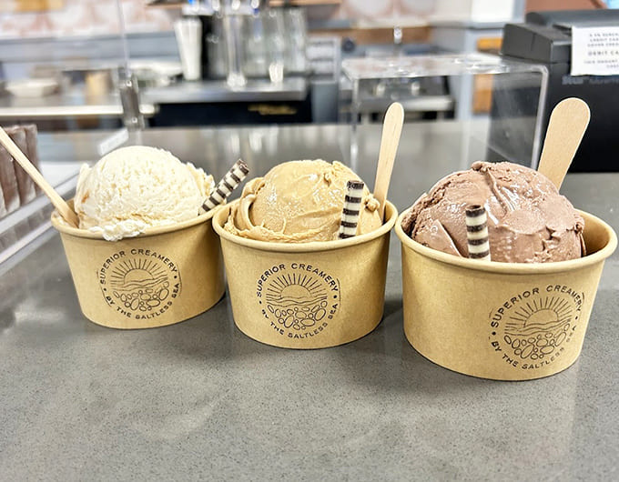 Three cups of homemade ice cream sitting pretty in biodegradable containers, because saving the planet shouldn't mean sacrificing your dessert game or your taste buds.