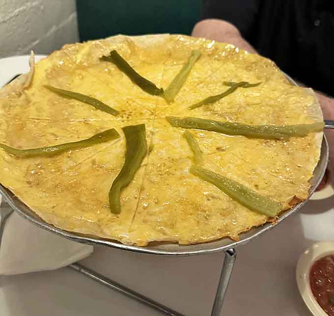 That perfectly melted cheese blanket covers every inch of crispy tortilla real estate, creating the kind of comfort food that feels like a warm hug.