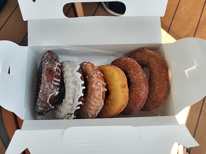 A mixed box of donuts is basically a choose-your-own-adventure story where every ending is delicious.
