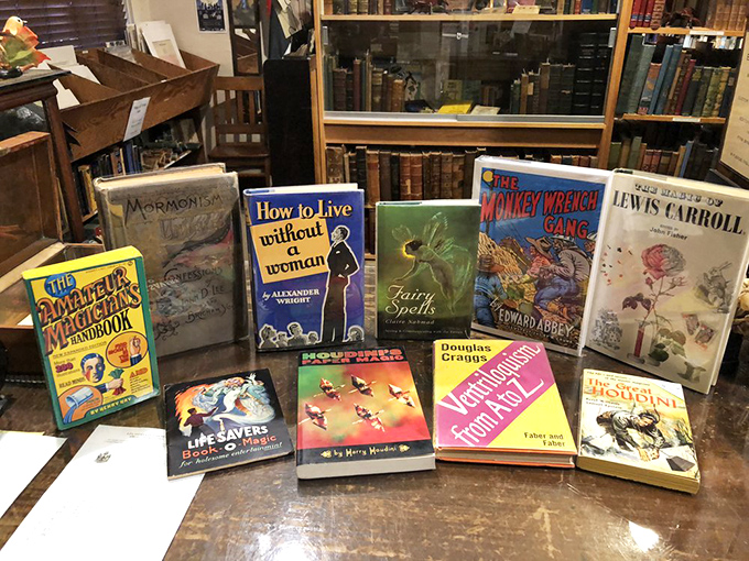 A rainbow of vintage spines creates an irresistible display of decorative books, where aesthetics and literature merge beautifully.