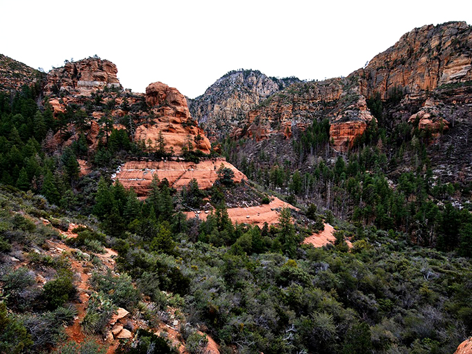 Indiana Jones, eat your heart out! This natural arch looks like a portal to another dimension, framing a view that's pure Arizona magic.