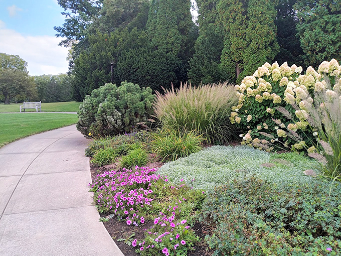 Stroll down nature's runway! This path leads you through a fashion show of foliage, where every plant is ready for its close-up.