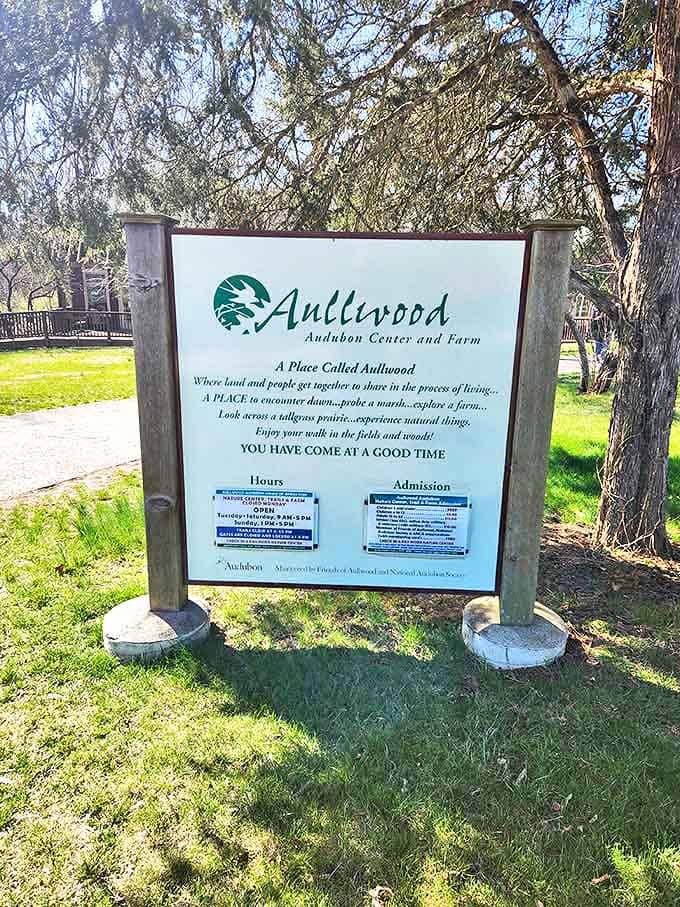 "You have come at a good time" promises the welcome sign, an understatement for a place where trolls and nature create magic.