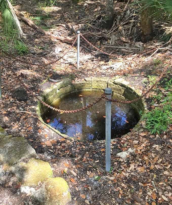 This centuries-old well once quenched the plantation's thirst &ndash; now it's a window into daily colonial life.