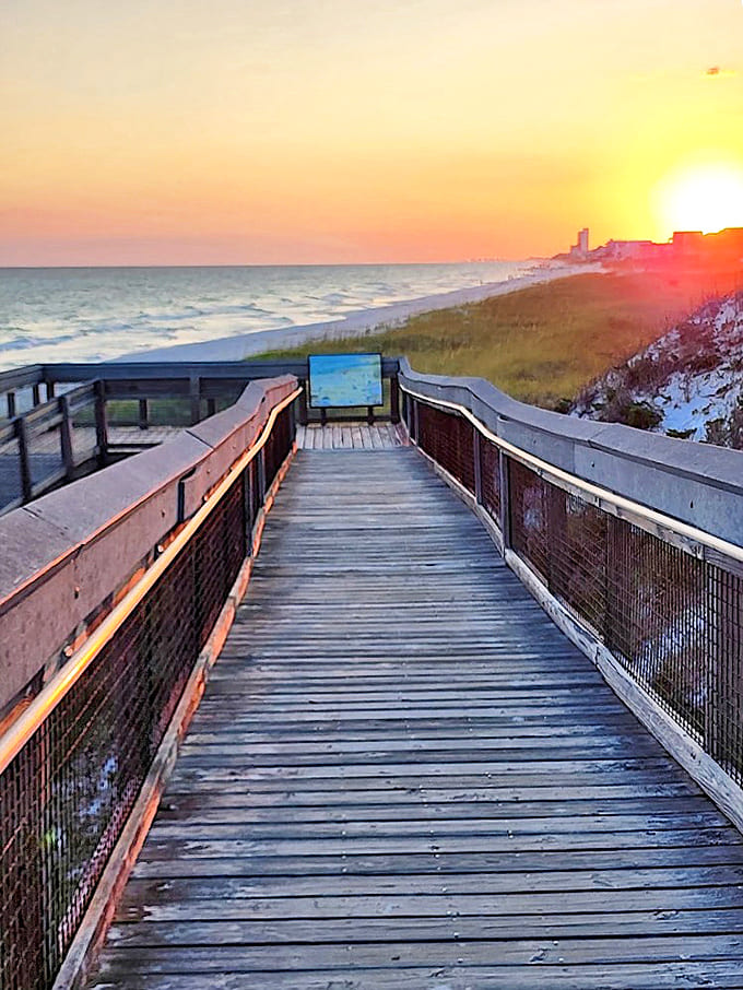 As day transitions to evening, the boardwalk becomes a magical pathway framed by the day's final golden light.