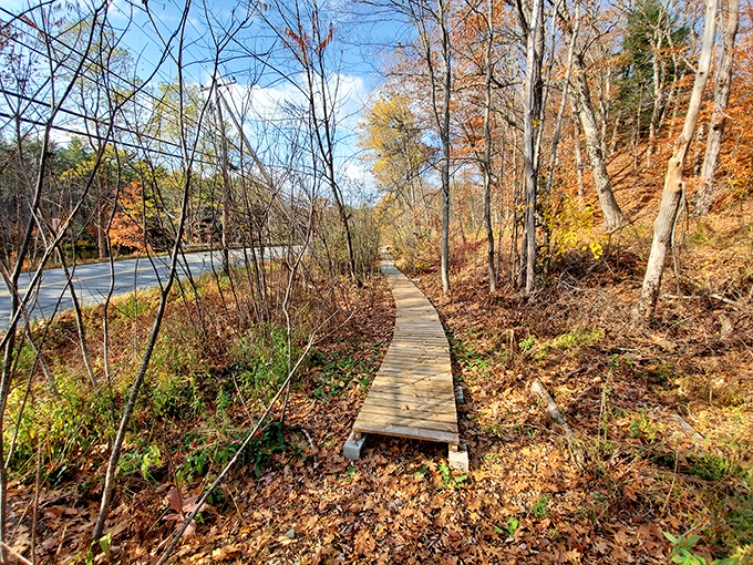 This humble wooden boardwalk might not look like much, but it's your gateway to autumn's most spectacular color show.