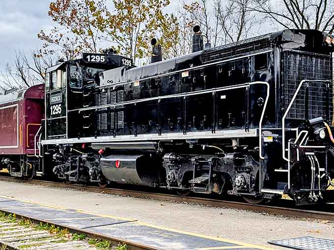 The powerful black locomotive #1295 represents industrial strength and heritage, its mechanical beauty drawing admiring glances from train enthusiasts.