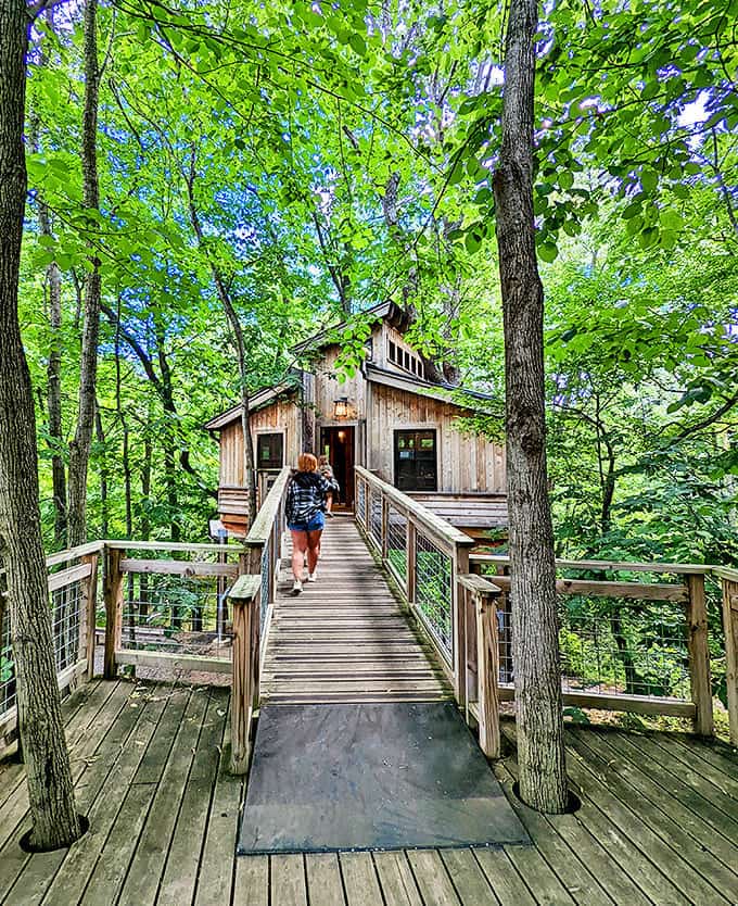 Walking this elevated wooden path feels like floating through the forest canopy &ndash; no wings or fairy dust required.