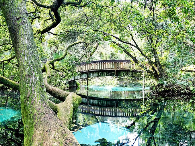 The bridge to paradise spans waters so blue they make the sky jealous. Worth every step of the journey.