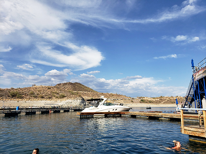 Desert meets water in this quintessentially Arizona scene, where cacti watch over splashing visitors with silent approval.