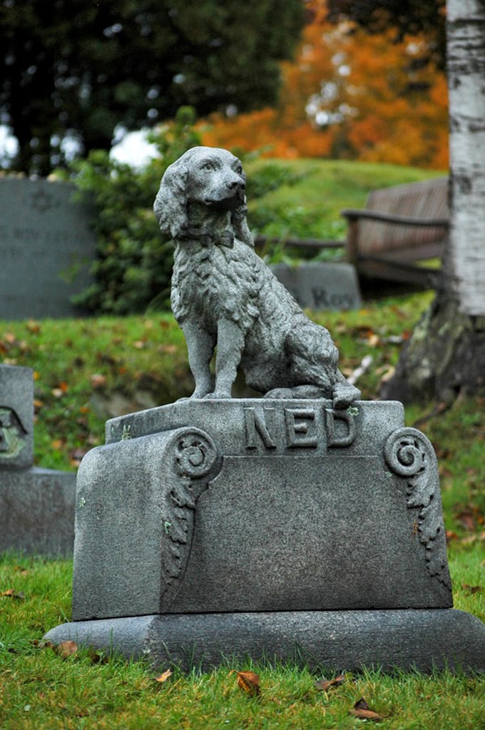Faithful even beyond the grave, this stone canine companion named "Ned" reminds us that loyalty deserves to be immortalized.